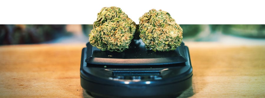 Scales | Weed Scales | Online Headshop - Zamnesia